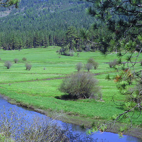 Societal and humane components guide Hoque’s research - Molinaroli ...