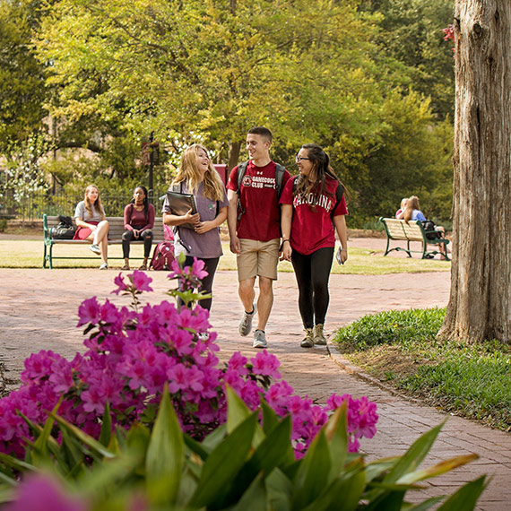 University of South Carolina | University of South Carolina